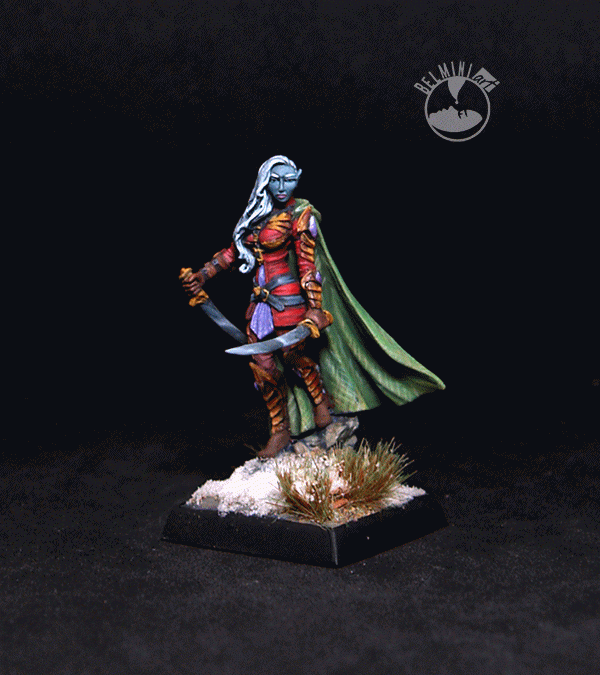 Darksword Female Dark Elf Warrior - Dual Wield - Belminiart