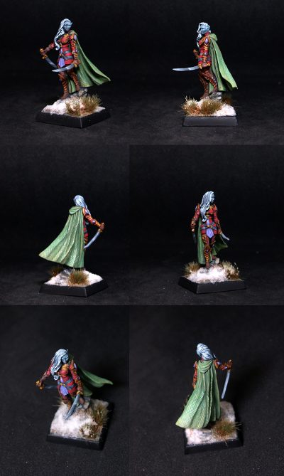 Female Dark Elf Warrior - Dual Wield - Belminiart